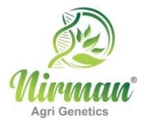 Nirman Agri Genetics Rights Issue Details 2024