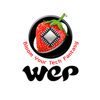 WeP Solutions Rights Issue Rights Issue Detail